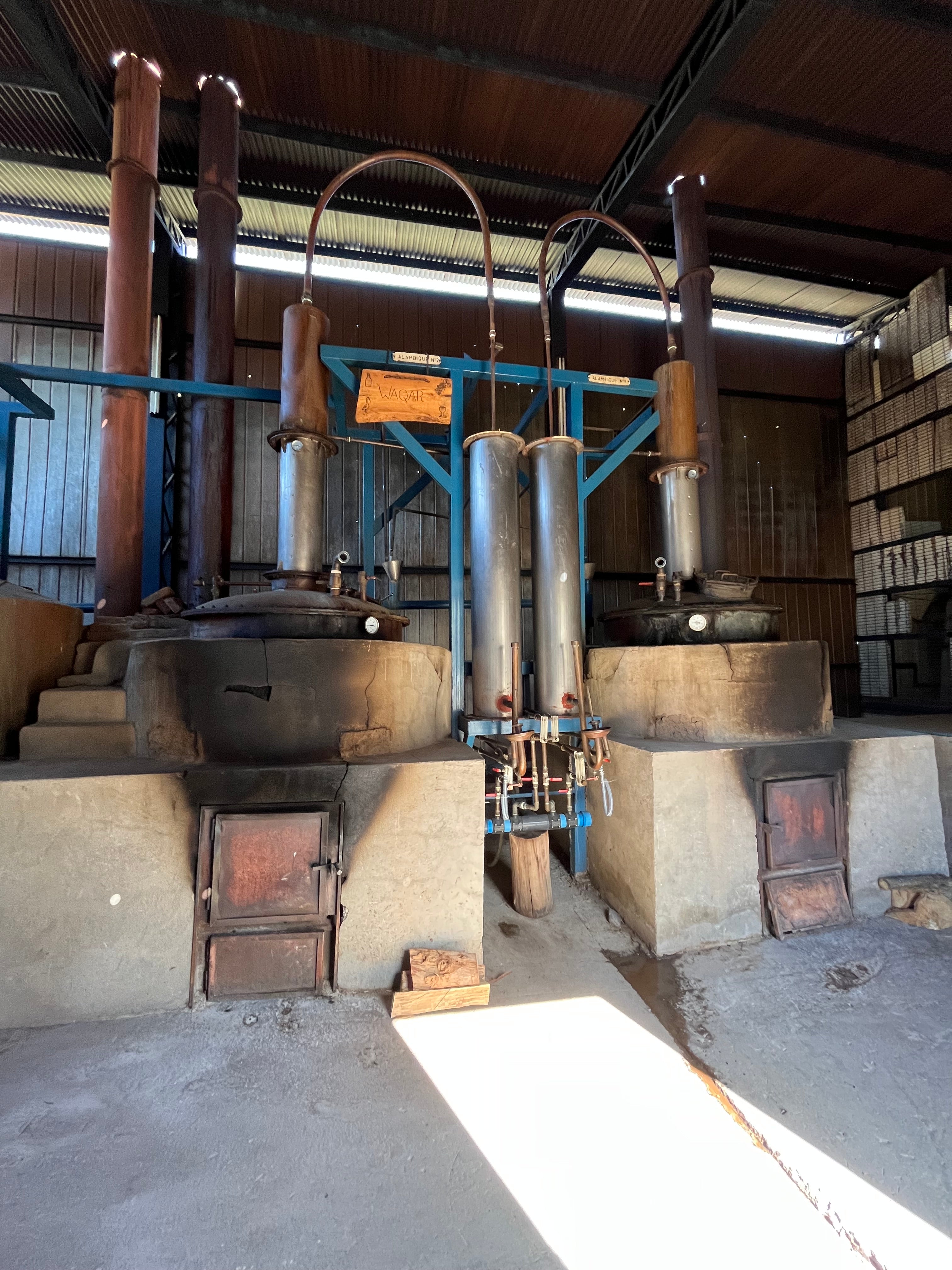 Así nace nuestro Pisco ¿Cómo se produce el destilado nacional ...
