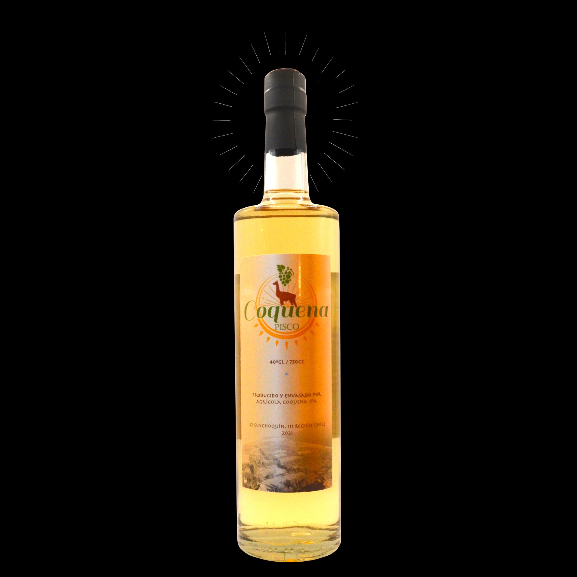 Pisco Coquena Premium – Revolución Pisco