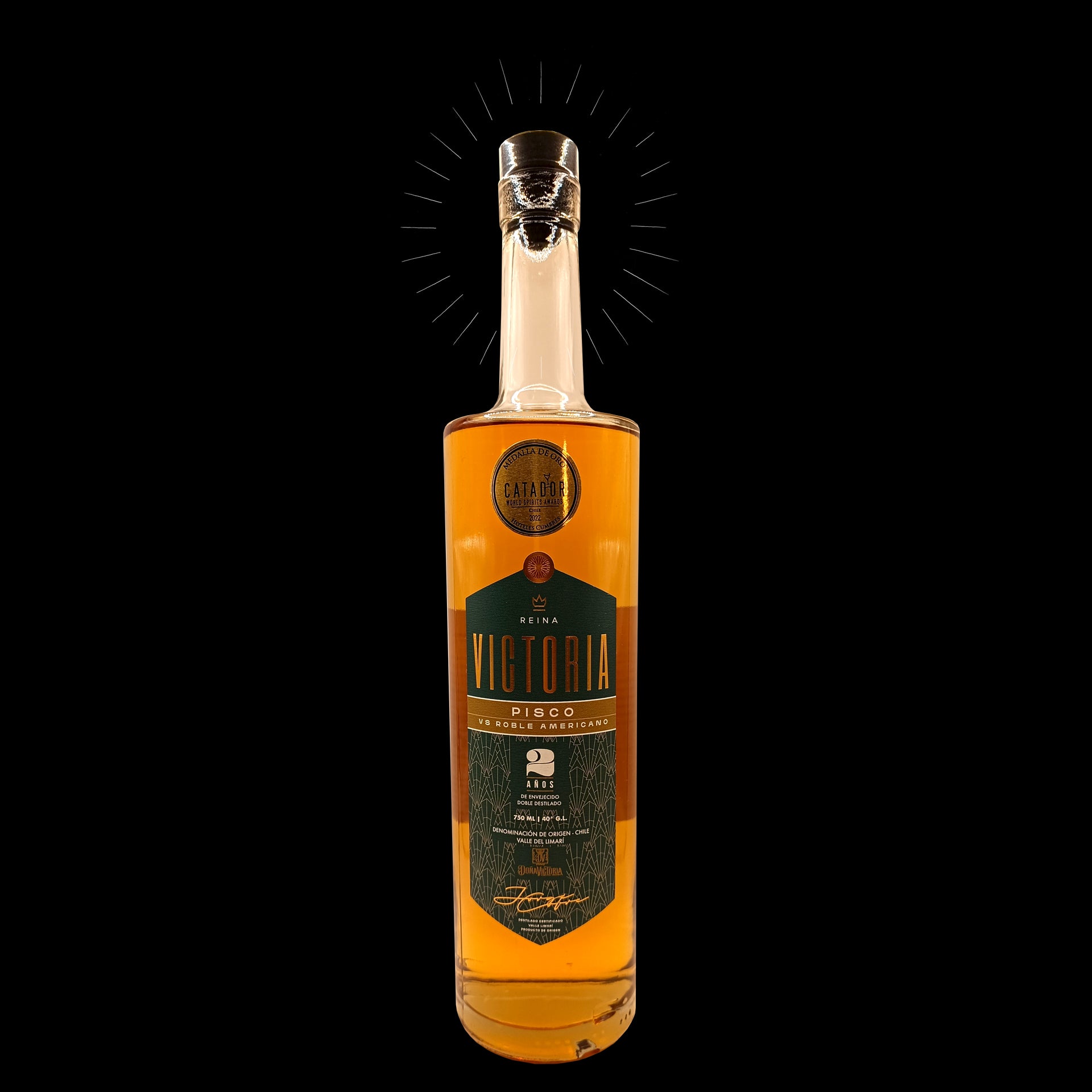 Pisco Reina Victoria VX Roble Americano – Revolución Pisco